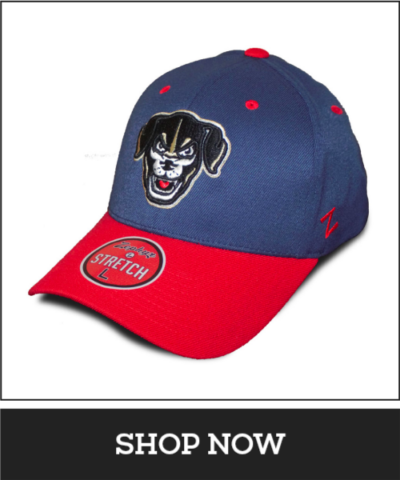 Lincoln Saltdogs Baseball • Family Fun & Games!